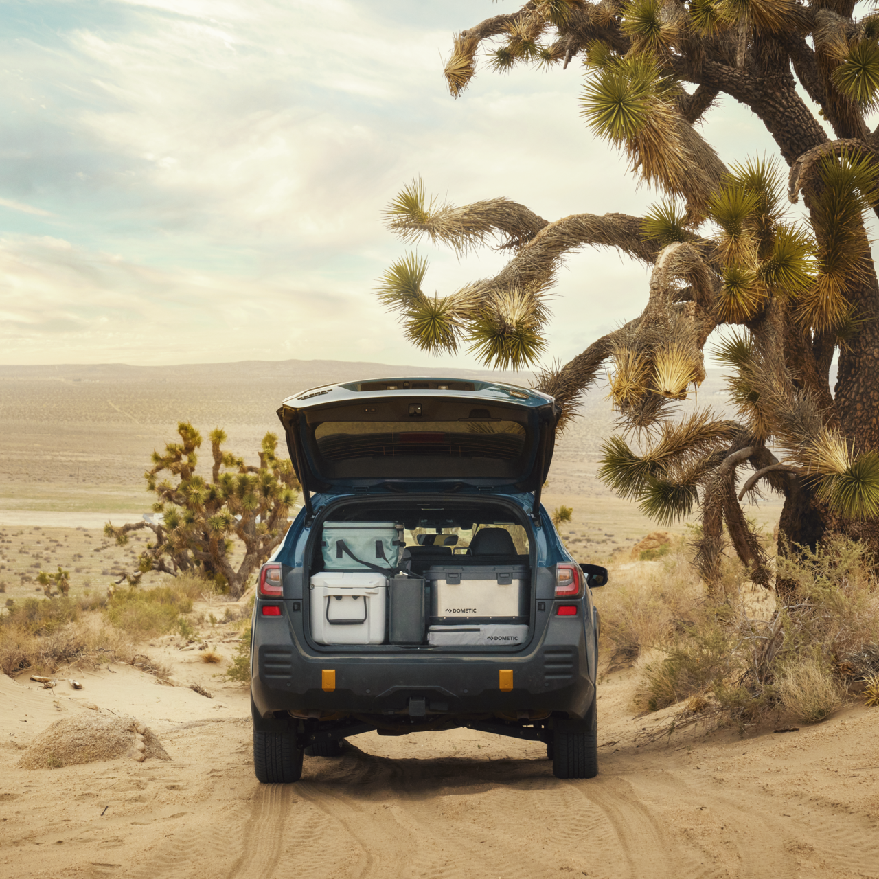 Dometic GO Hydration Water Faucet - REBEL OFF ROAD